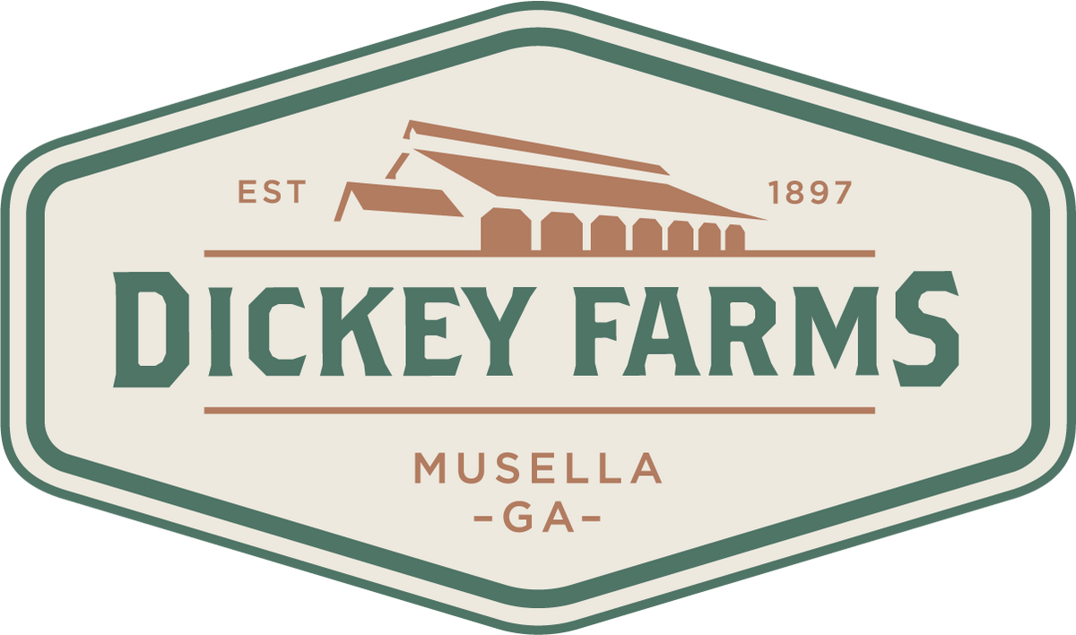 Recipes – Tagged "Blueberry Bourbon Pecan Jam" – Dickey Farms